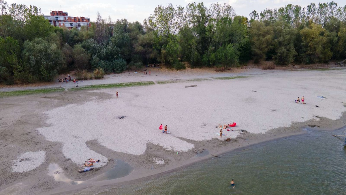 Opasnost ispod Pupinovog mosta: Peščani sprud može biti poguban za ...