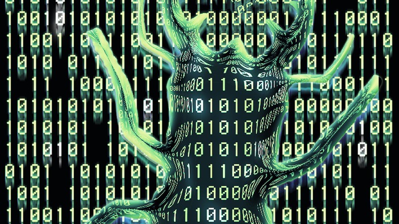 Czy grozi nam internetowy 11 września? - Wiadomości