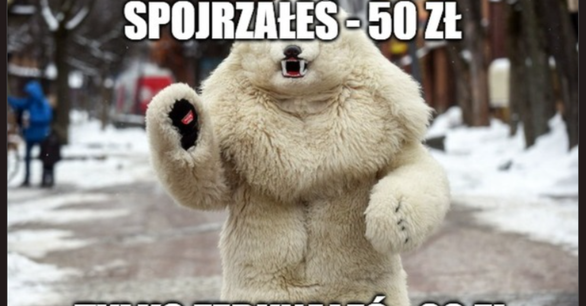 "Miś" z Krupówek królem Internetu. Memy z "misiem" zalały sieć. "Zróbmy ...