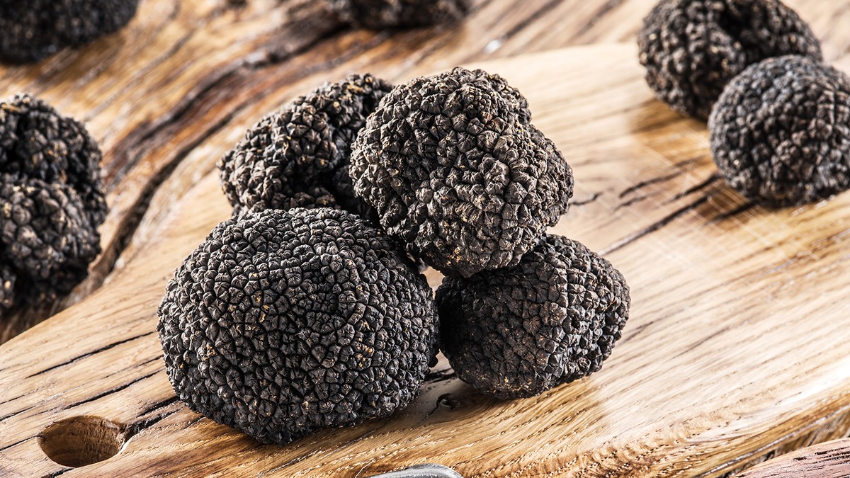 KILOGRAM "CRNOG ZLATA" I DO 5.000 EVRA Tartufe tajno prodaju i po ...