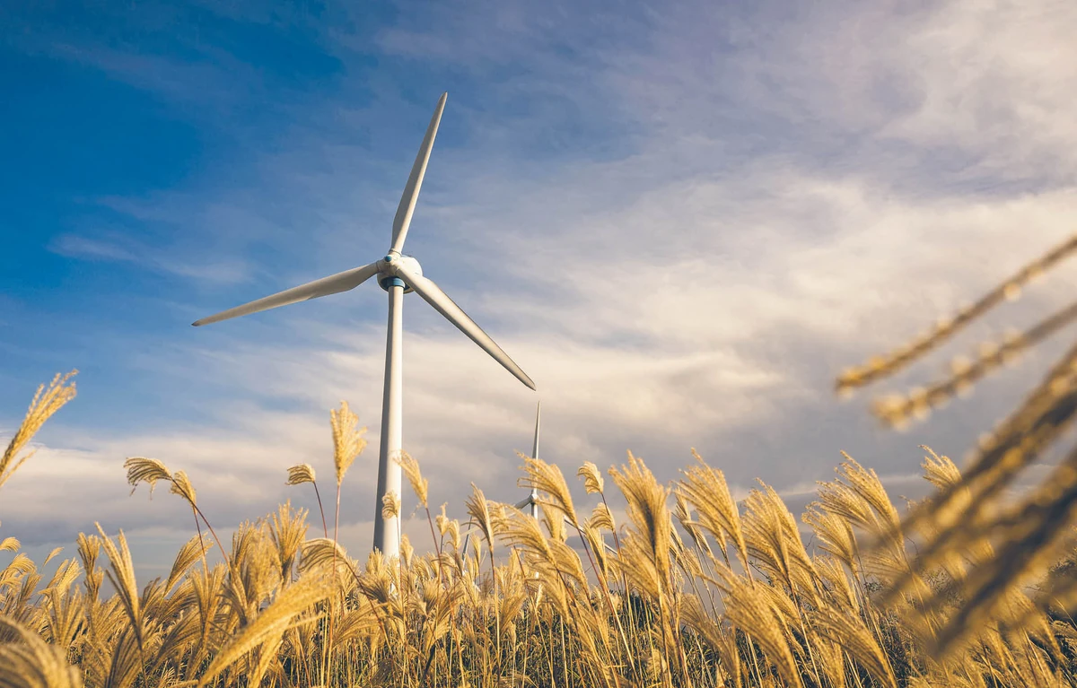 Europoseł Rzońca: Nowa polityka klimatyczna UE to wzrost cen energii ... Europoseł Rzońca: Nowa polityka klimatyczna UE to wzrost cen energii ...