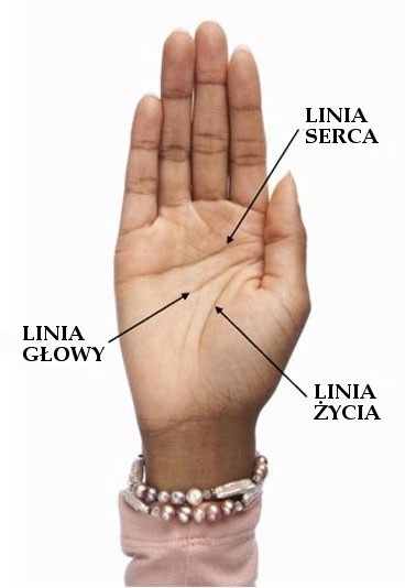 Linie i kształt dłoni. Co można z nich wyczytać?