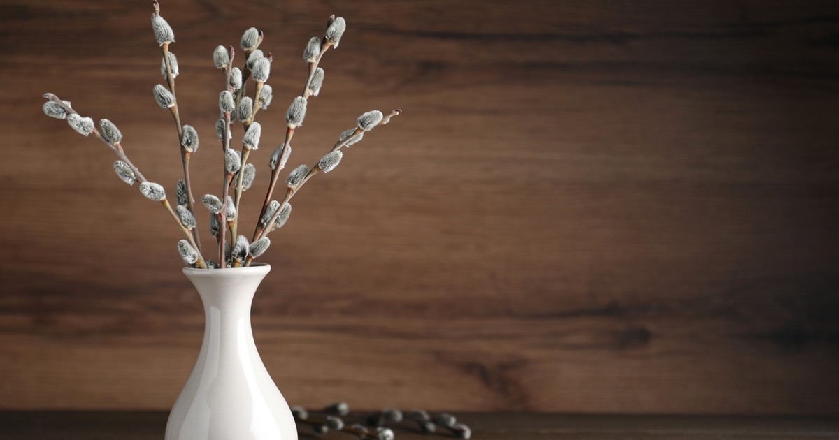 Jak sprawić, by bazie w wazonie stały dłużej? Prosty trik od ...