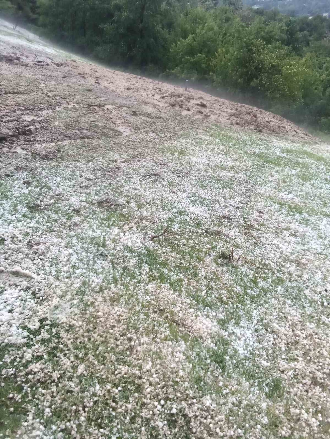Krupan grad zasuo Užice i Požegu, probijeni plastenici na imanjima, a ...
