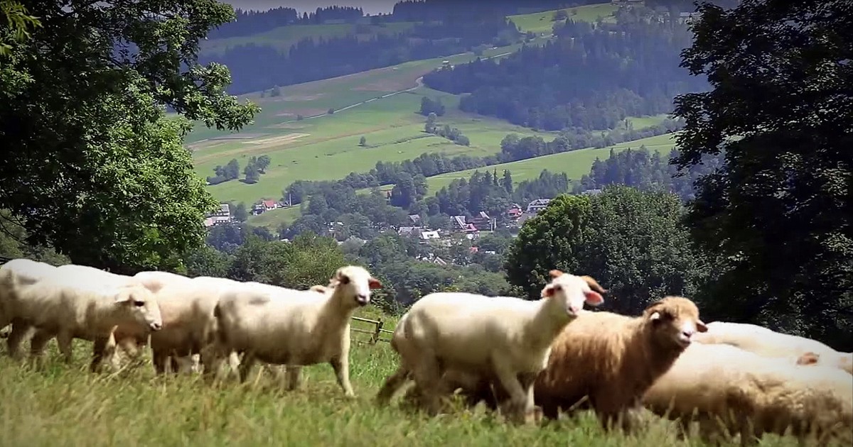 Ząb - najwyżej położoną wieś w Polsce 1013 m n.p.m. - Podróże