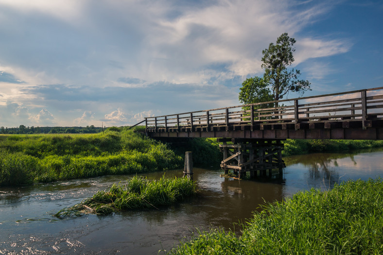 Kozienice i Puszcza Kozienicka - atrakcje turystyczne, ciekawe miejsca ...