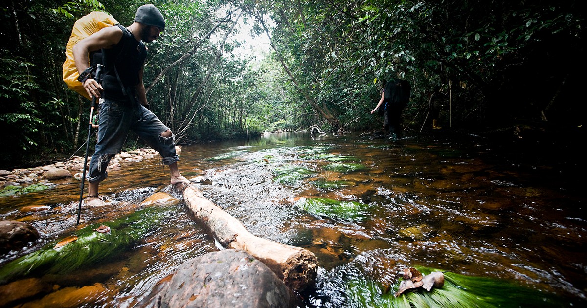 Polacy zdobywają Tramén Tepui i odkrywają nowe gatunki żab i motyli ...