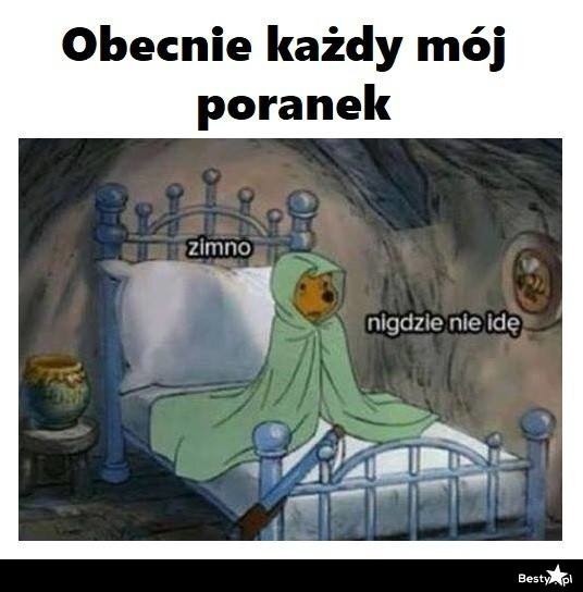 Zimno? Pora na rozgrzewającą dawkę śmiechu. Najlepsze memy o mrozie ...