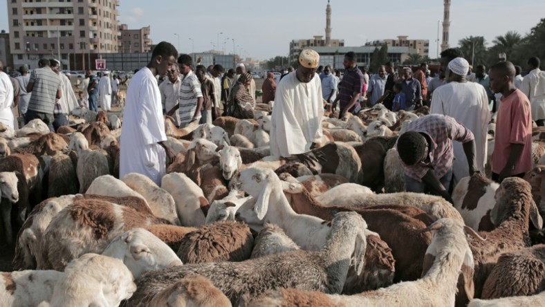Muted celebrations for Sudan's first post-Bashir Eid - Pulse Nigeria