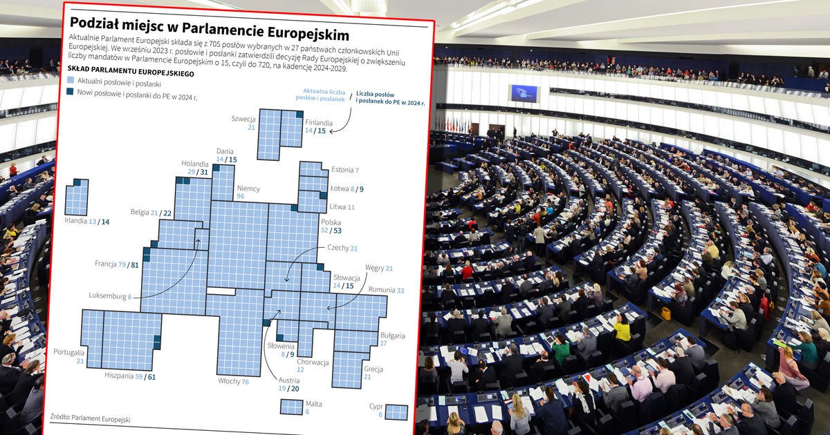 Wybory do Parlamentu Europejskiego. Oto terminy i podział miejsc