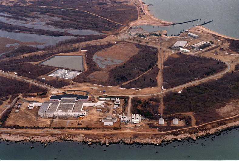 "Potwory" z Plum Island - najniebezpieczniejszej wyspy w Nowym Jorku ...