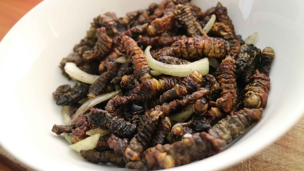 15 unconventional foods that Nigerians eat | Pulse Nigeria