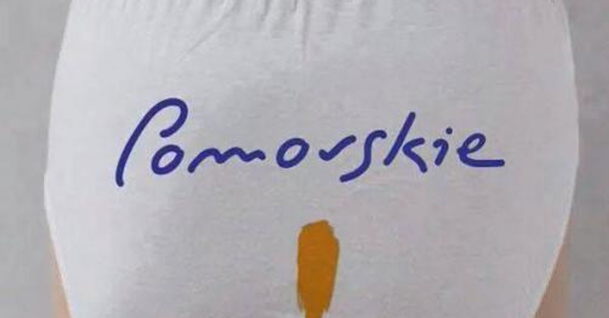 Internauci nie mają litości. Hejt na logo Pomorskiego - Dziennik.pl