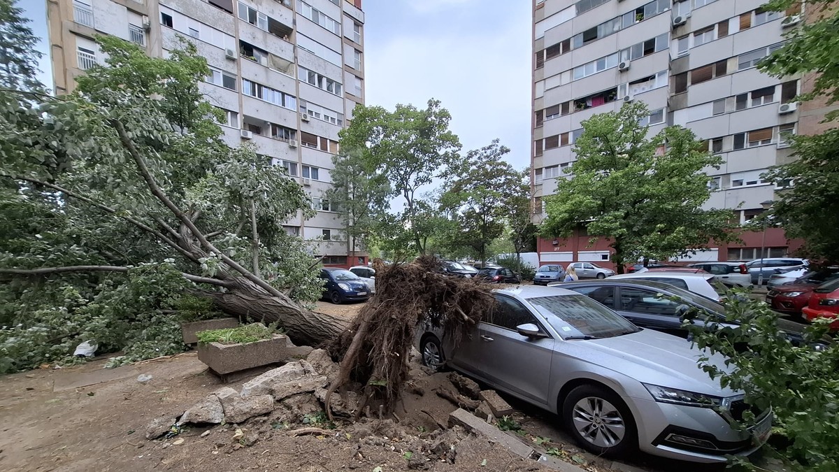Osam osoba povređeno u jučerašnjem nevremenu u Beogradu: Oluja kidala ...