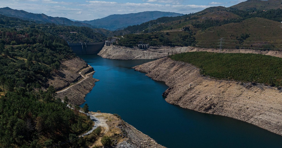 Susza sieje spustoszenie w Portugalii. Najmniejsze w historii plony ...