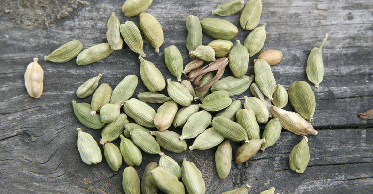 Kardamon – pochodzenie, zastosowanie i właściwości zdrowotne