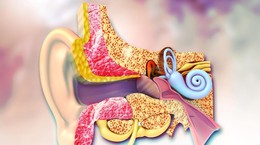 Błędnik - jakie funkcje pełni? Zaburzenia błędnika i sposoby ich leczenia