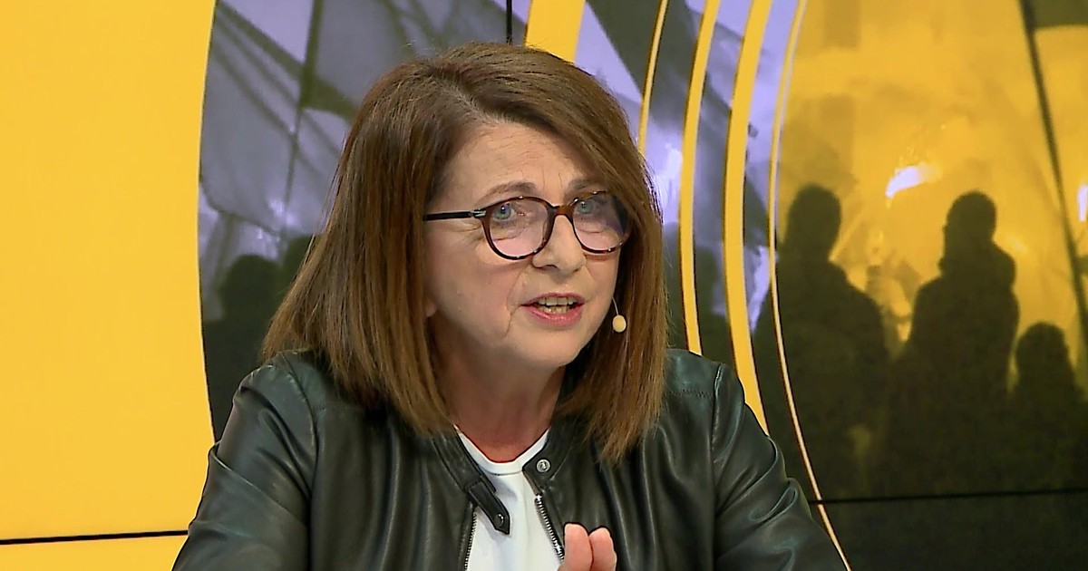 Julia Pitera w "Onet Opinie": Schetyna musi odejść - Wiadomości