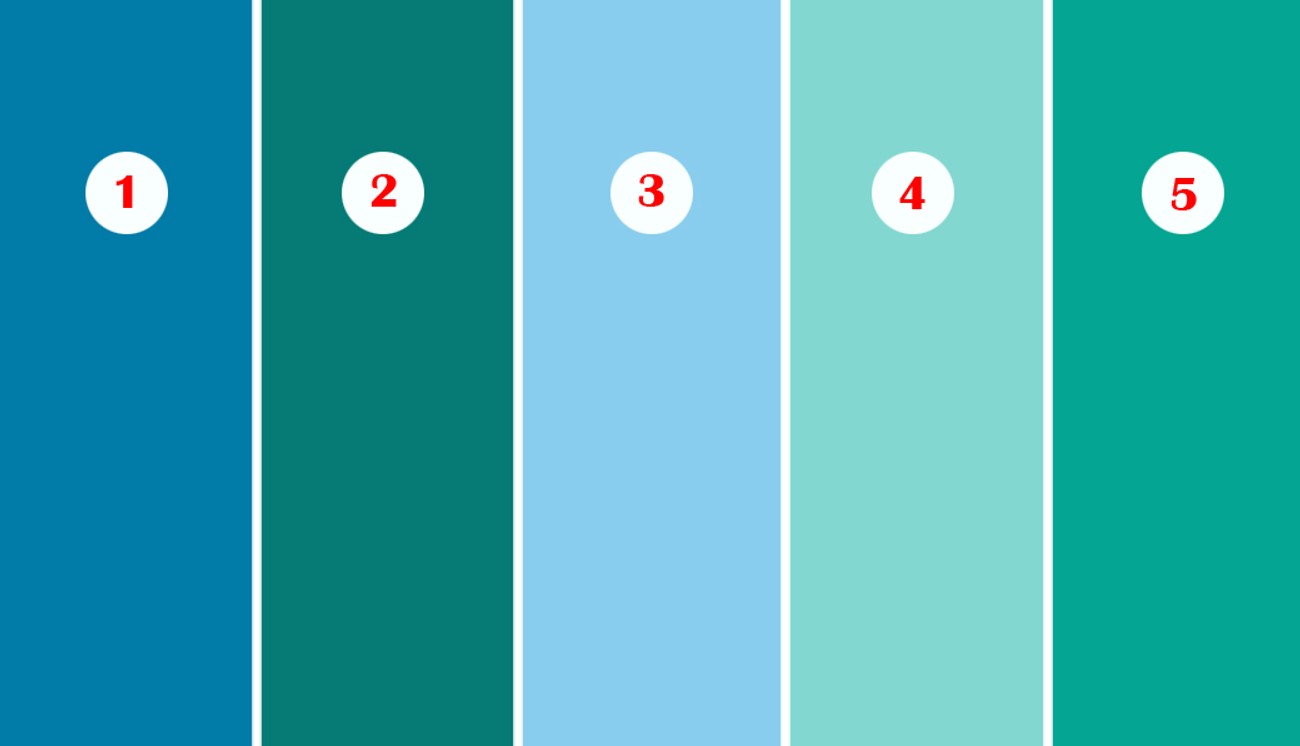 DA LI JE OVO PLAVA ILI ZELENA BOJA? Deluje jednostavno, a mnogi ne ...