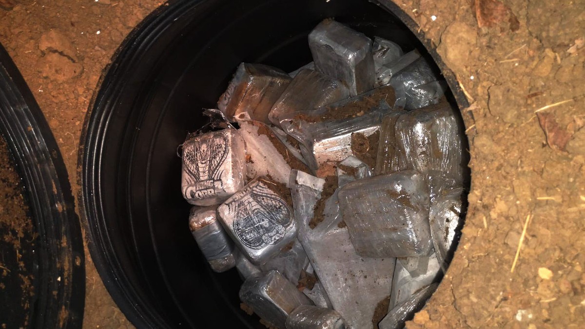 mladen novakovic tocilo heroin zaplena mladenovac - Blic