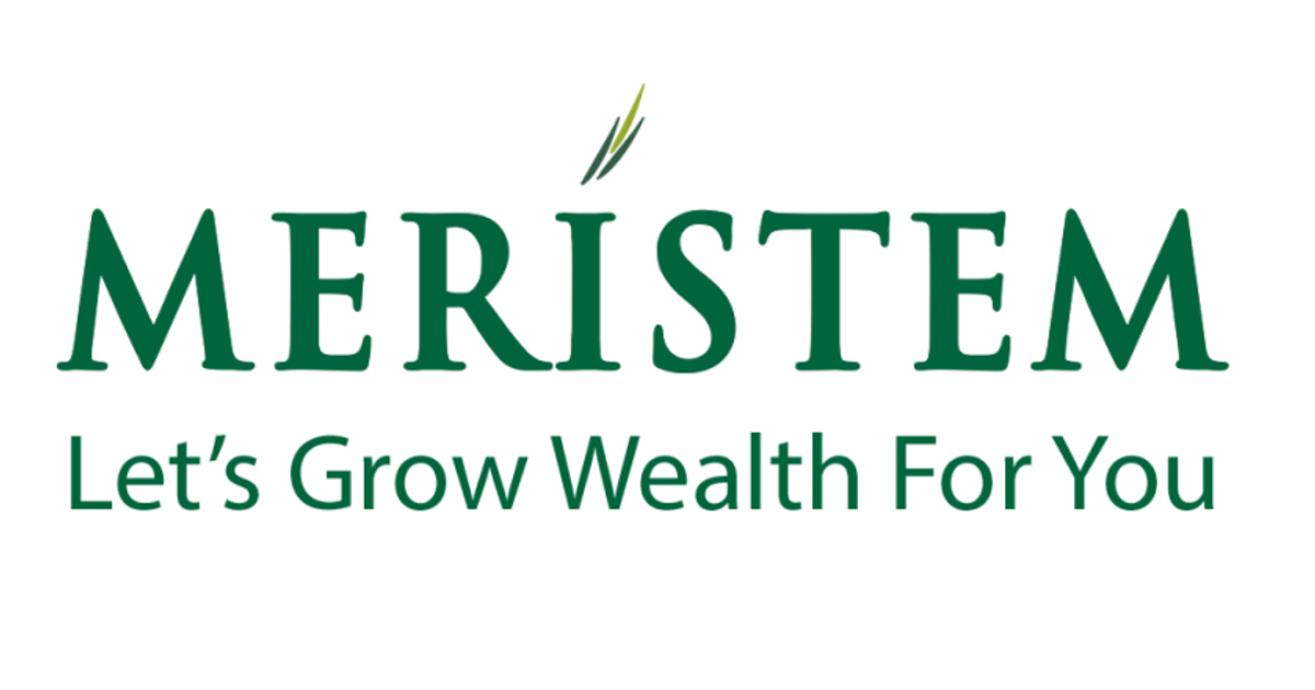 Shaping the financial industry in 2024: Meristem leading the charge in ...