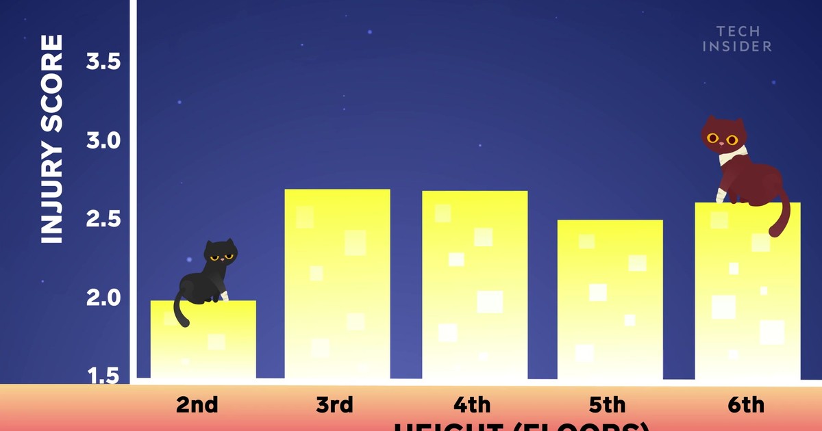 How cats can survive falling 32 stories high with limited injuries ...