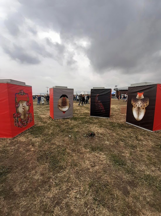 6. ROČNÍK POHODA VISUAL ART CONTEST 3500 € PRE VÍŤAZA A NÁVRHY ...