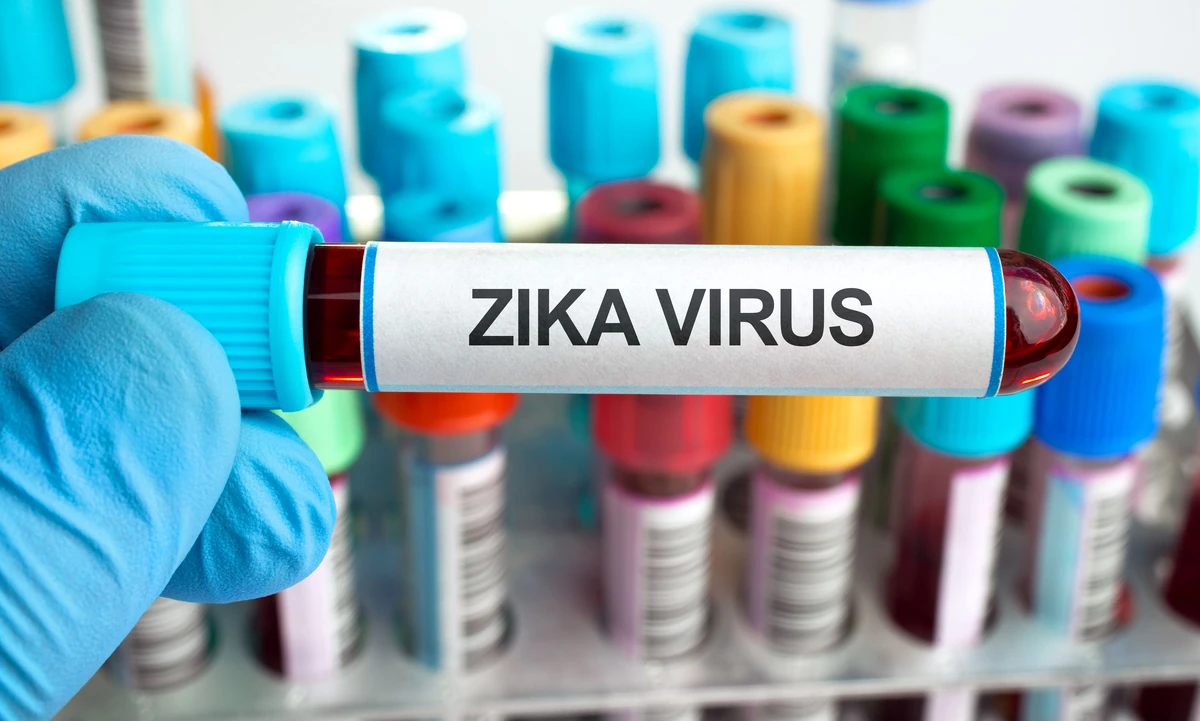 Wirus Zika coraz bliżej Polski. Jest już w Czechach - Dziennik.pl
