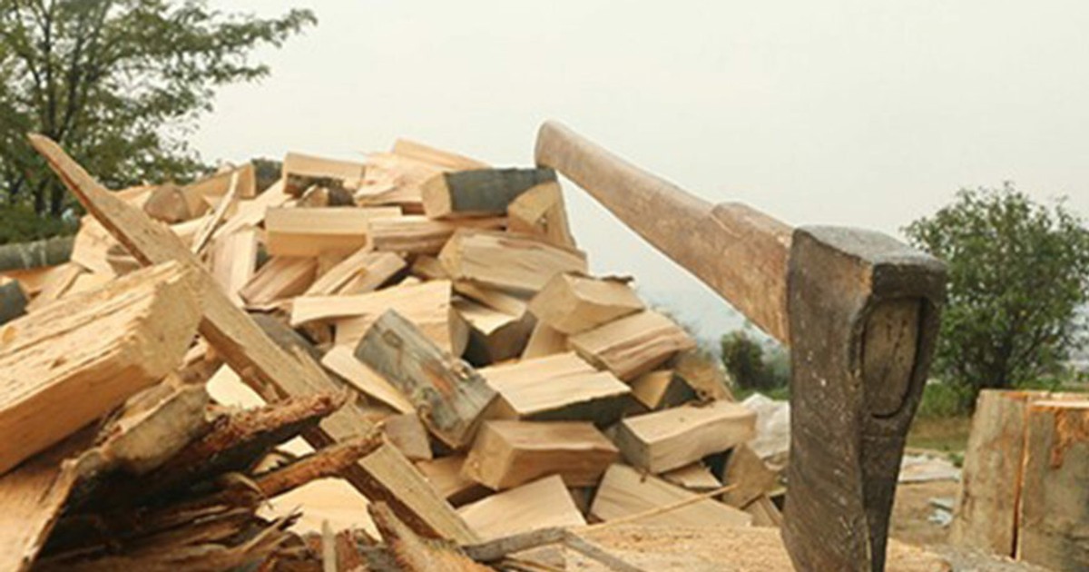 Niška policija rasvetlila četiri šumske krađe: kod kupca pronađena ukradena drva - Blic