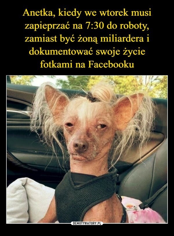 Dopiero wtorek, a już czekasz na weekend? Te memy poprawią ci humor ...