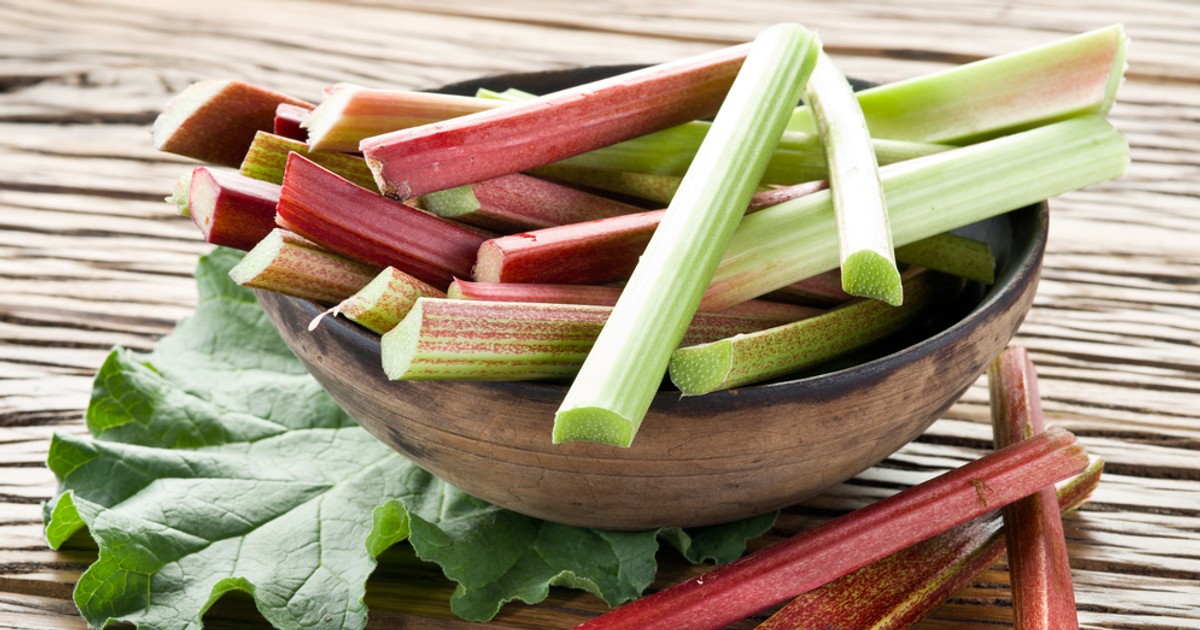 Rabarbar - wartości odżywcze, właściwości, przeciwwskazania do spożycia
