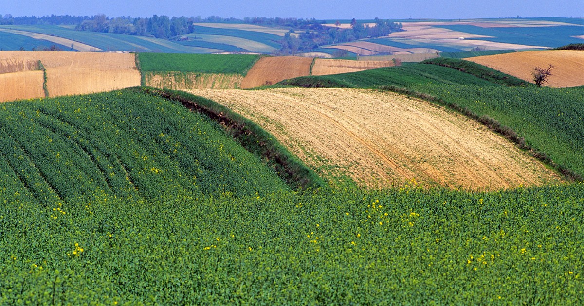 Roztocze - Polska jak malowana - Podróże