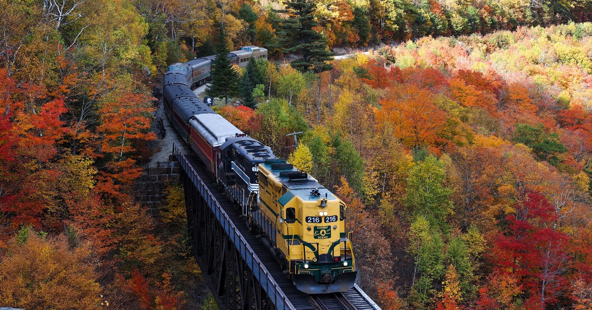 12 of the most beautiful train rides for stunning fall foliage views | Business Insider Africa
