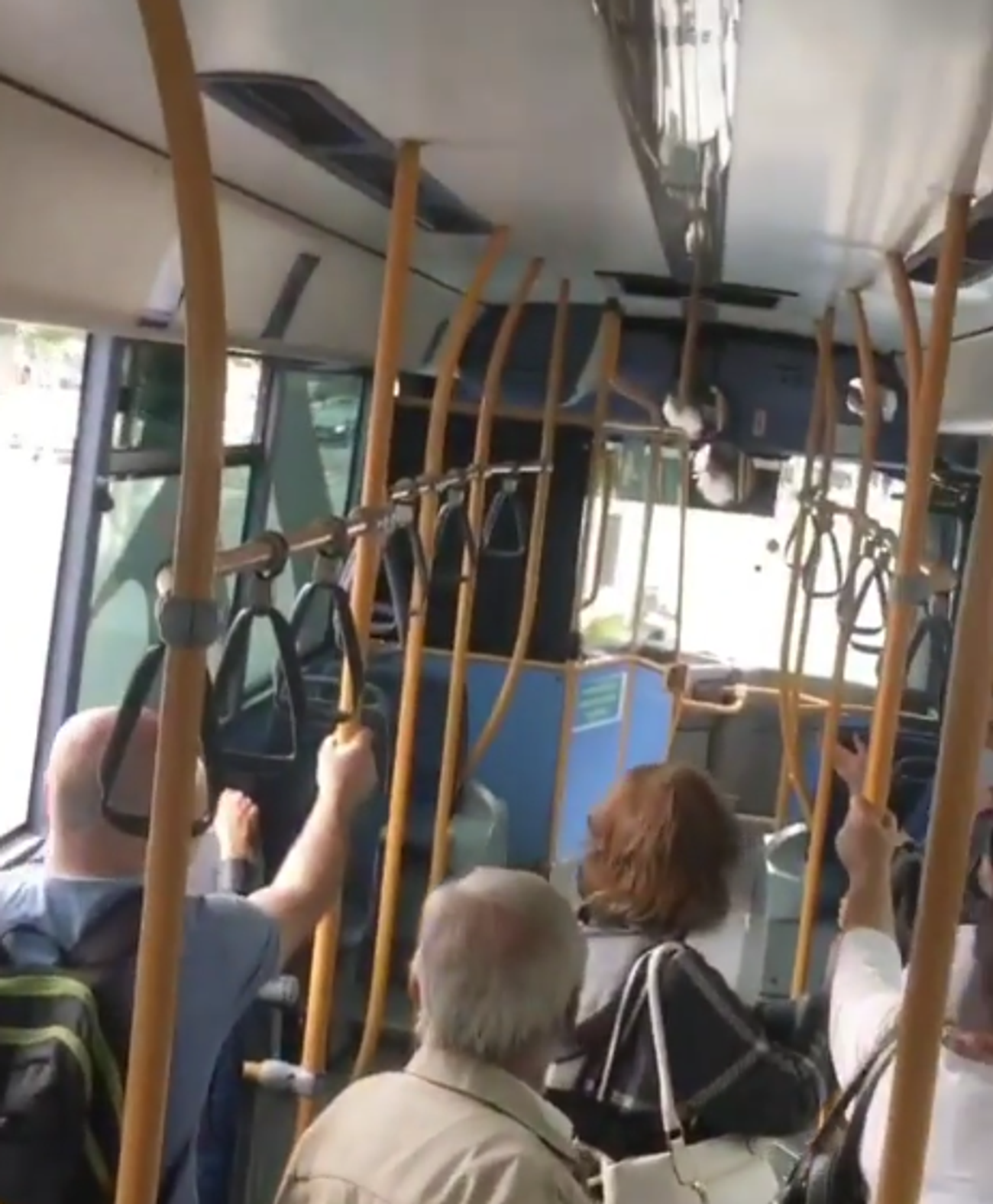 INCIDENT U NOVOM SADU Pomahnitali mladić gađao flašama, pa RAZBIO ...