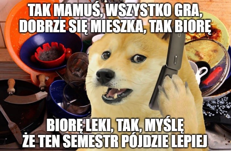 Słynny "pieseł" nie żyje. Wspominamy memy z "piesełem" w roli głównej ...