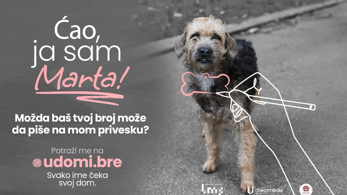 Marta izmami svakom osmeh, a sad traži dom: Akcija "Svako ime čeka svoj dom" osvetljava Srbiju ...
