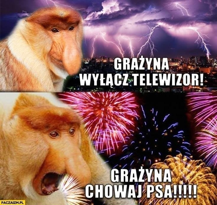 Najlepsze memy o Sylwestrze. Przywitaj Nowy Rok z humorem! - Kobieta