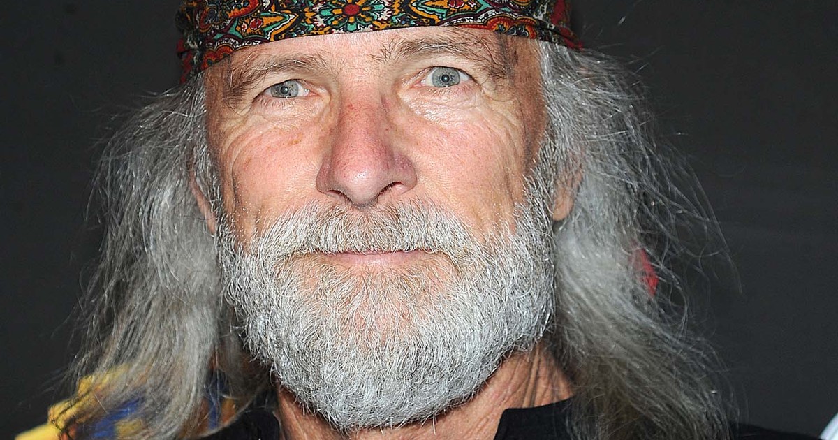 Woodstock raz jeszcze - Film