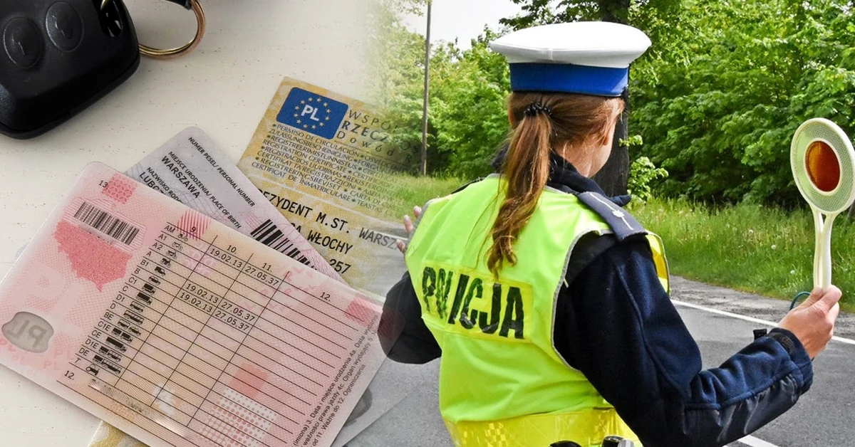Nowe prawo dotknie każdego kierowcę. Masowo polecą prawa jazdy - Dziennik.pl
