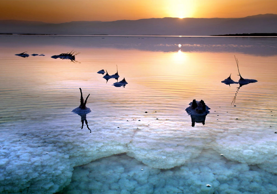 Palestyna - święta ziemia - Podróże