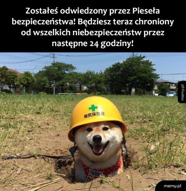 Słynny "pieseł" nie żyje. Wspominamy memy z "piesełem" w roli głównej ...