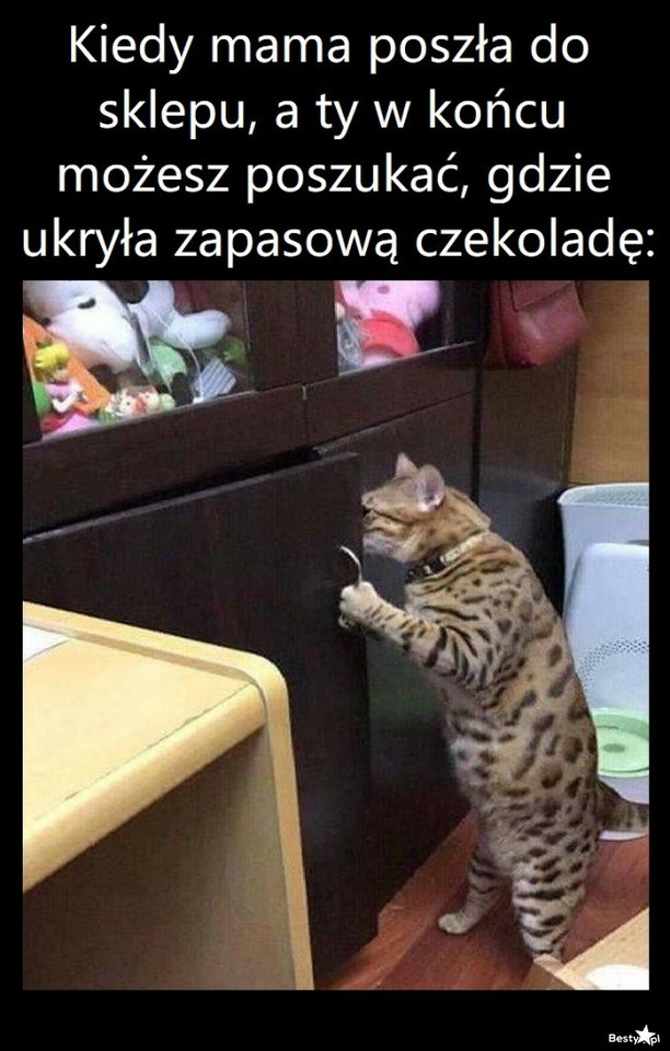 Najśmieszniejsze memy o czekoladzie. To samo życie - Kobieta