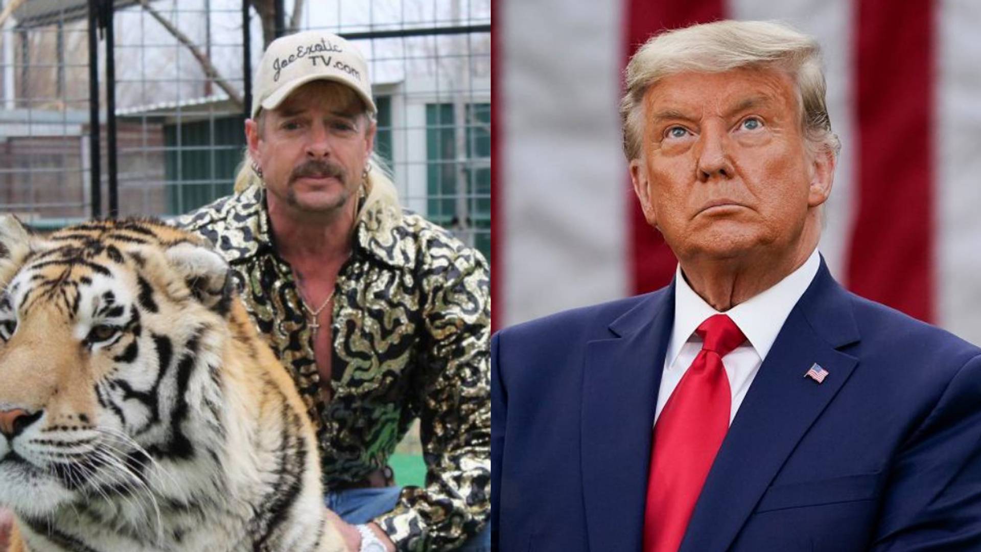 Joe Exotic: Donald Trump może ułaskawić Króla Tygrysów - Noizz