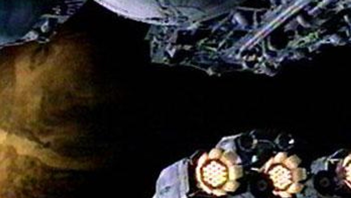 Obcy - Ósmy pasażer "Nostromo" - galeria - Film