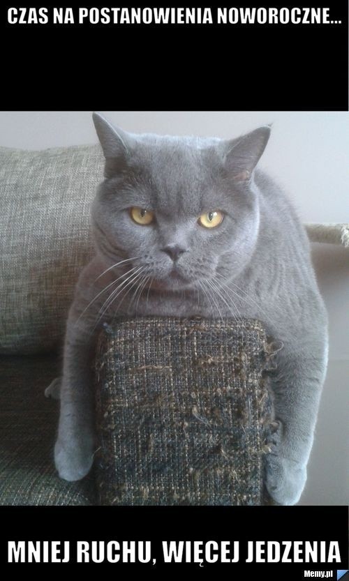 "Nowy rok, nowa ja". Zobacz najlepsze memy o postanowieniach ...