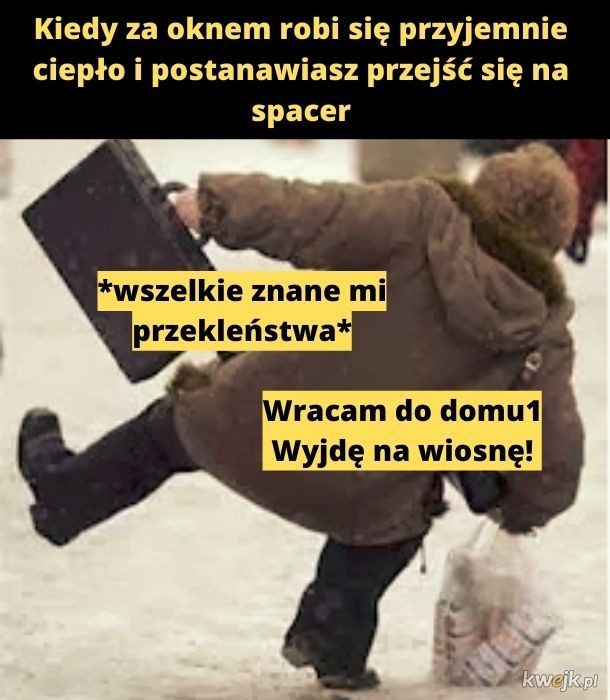 Ślisko na polskich ulicach. Te memy dziś zrozumie każdy - Kobieta
