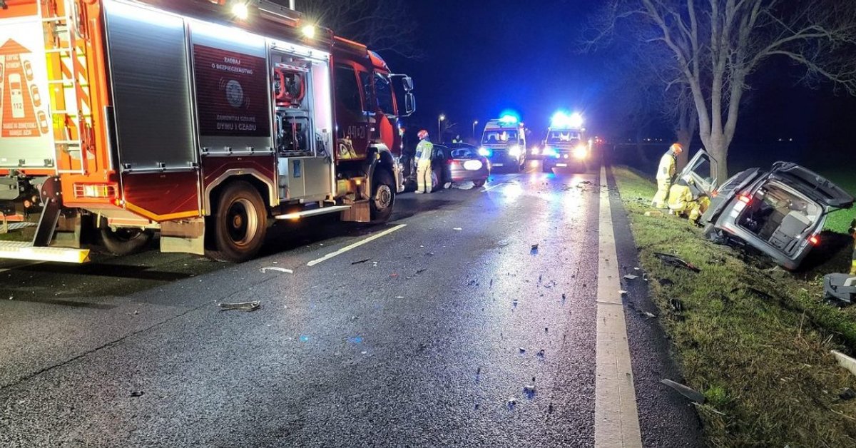 Tragiczny wypadek w Wielkopolsce. Kierowca nie miał szans - Informacje