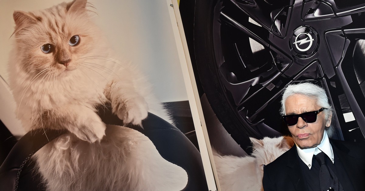 Karl Lagerfeld famously pampered his cat. Here's what Choupette's ...