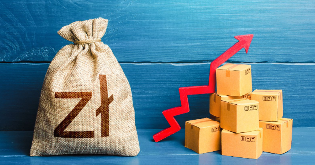 NBP: Polskie inwestycje zagraniczne wzrosły do 28,2 mld zł w 2022 r ...