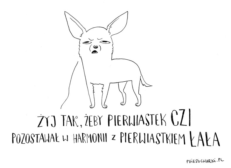"Psie Sucharki idą na spacer". Maria Apoleika o kulisach nowej książki ...